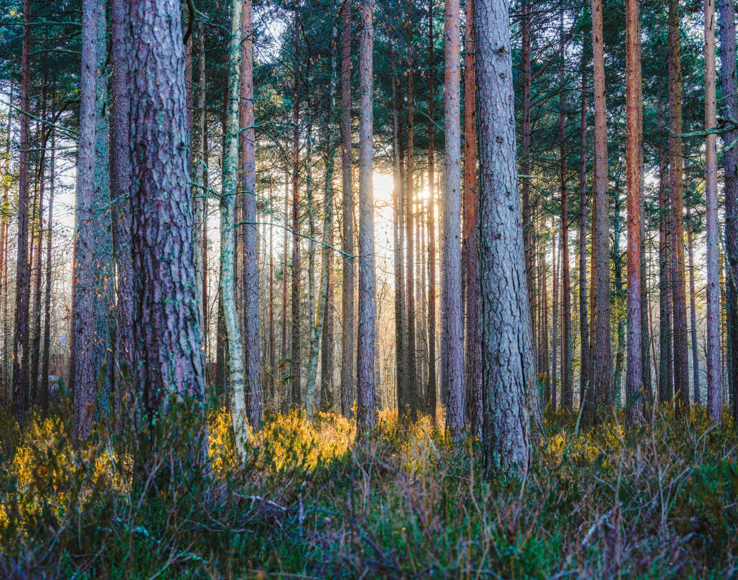 Towing Trailer in Sand: Safe Tips & Best Practices - Infanta